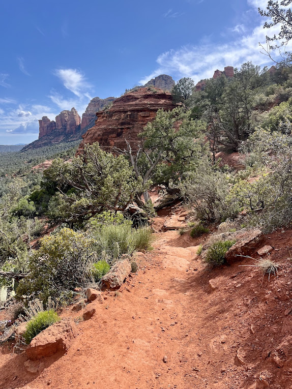 Cocodona 250 Barnburner: Race Preview – Erin Quinn