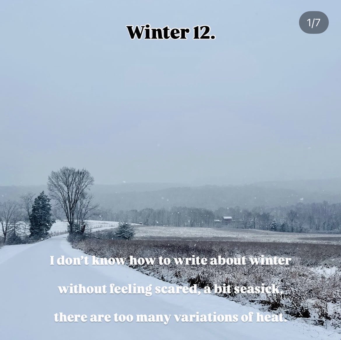 The Artistic Runner – Erin Quinn